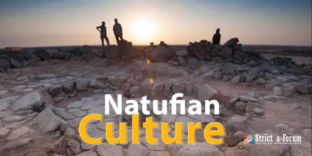 Natufian Culture - IIC Berlin