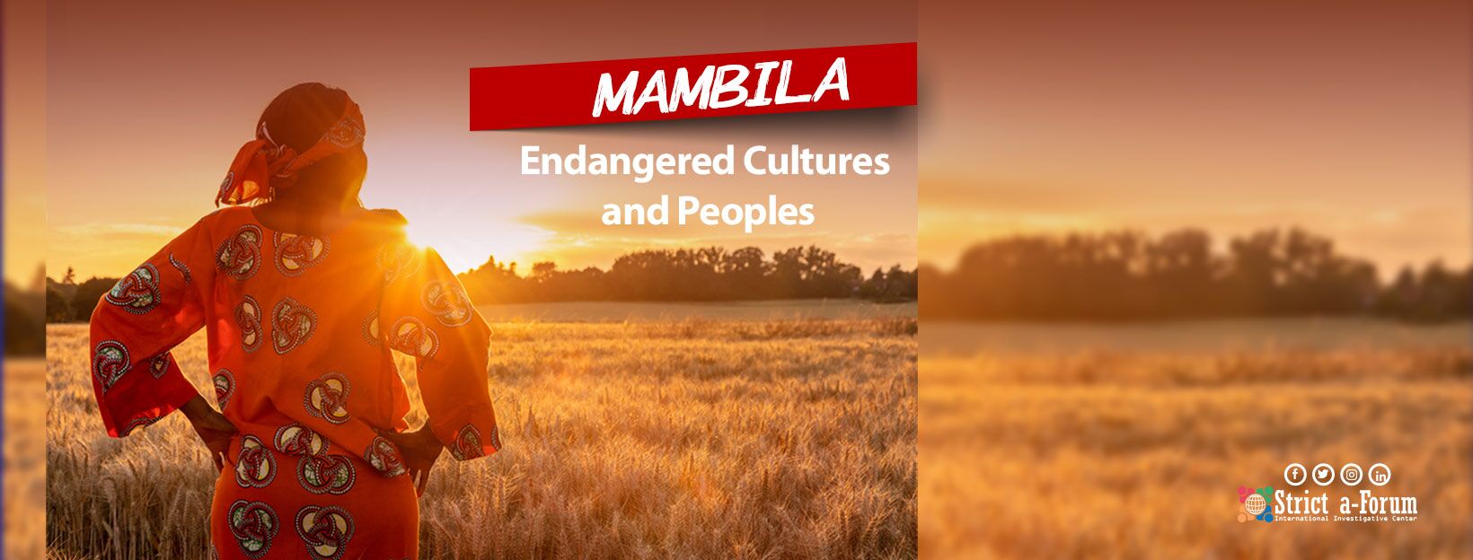 Endangered Cultures and Peoples: Mambila - IIC Berlin